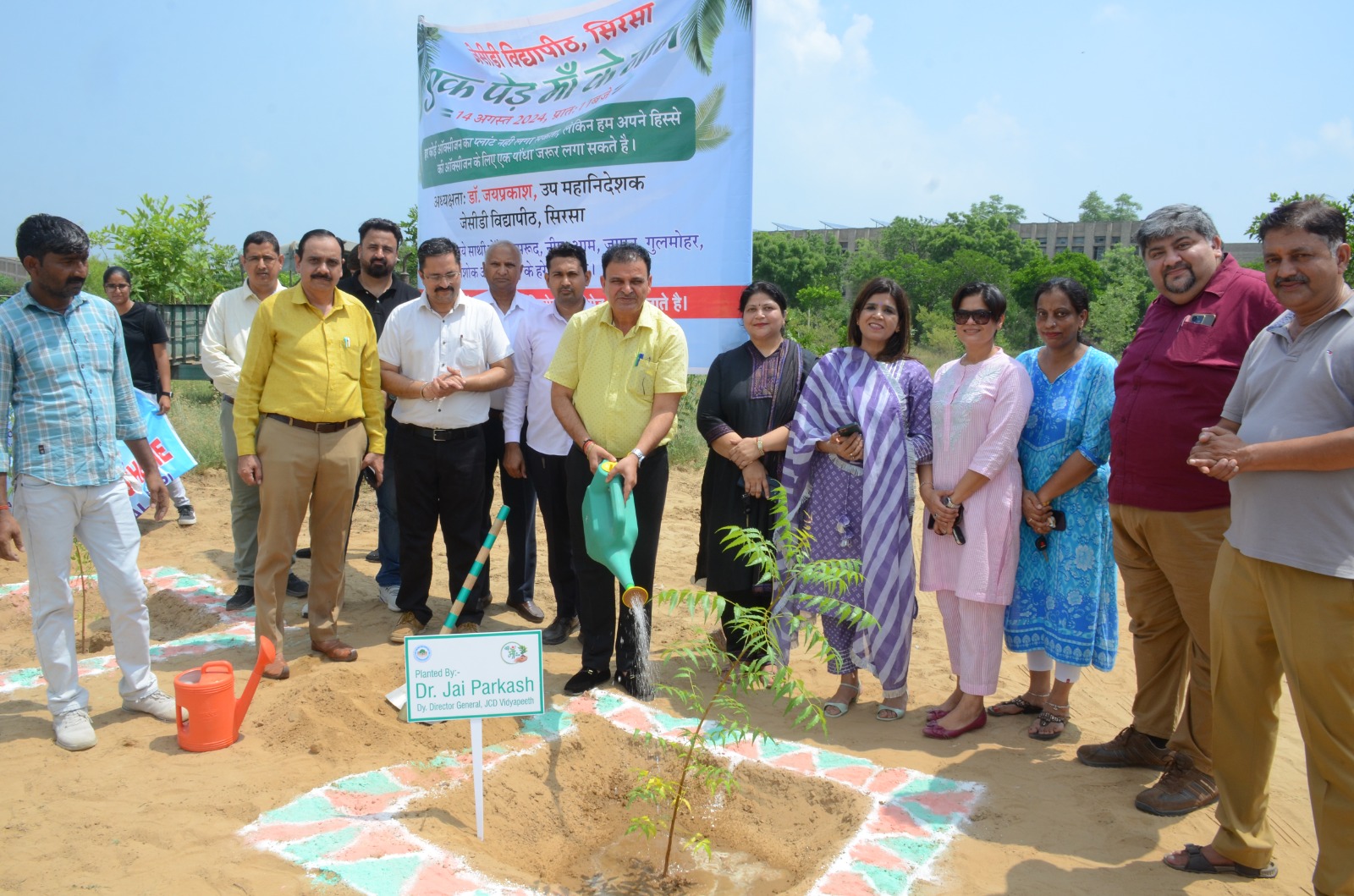 Tree Plantation